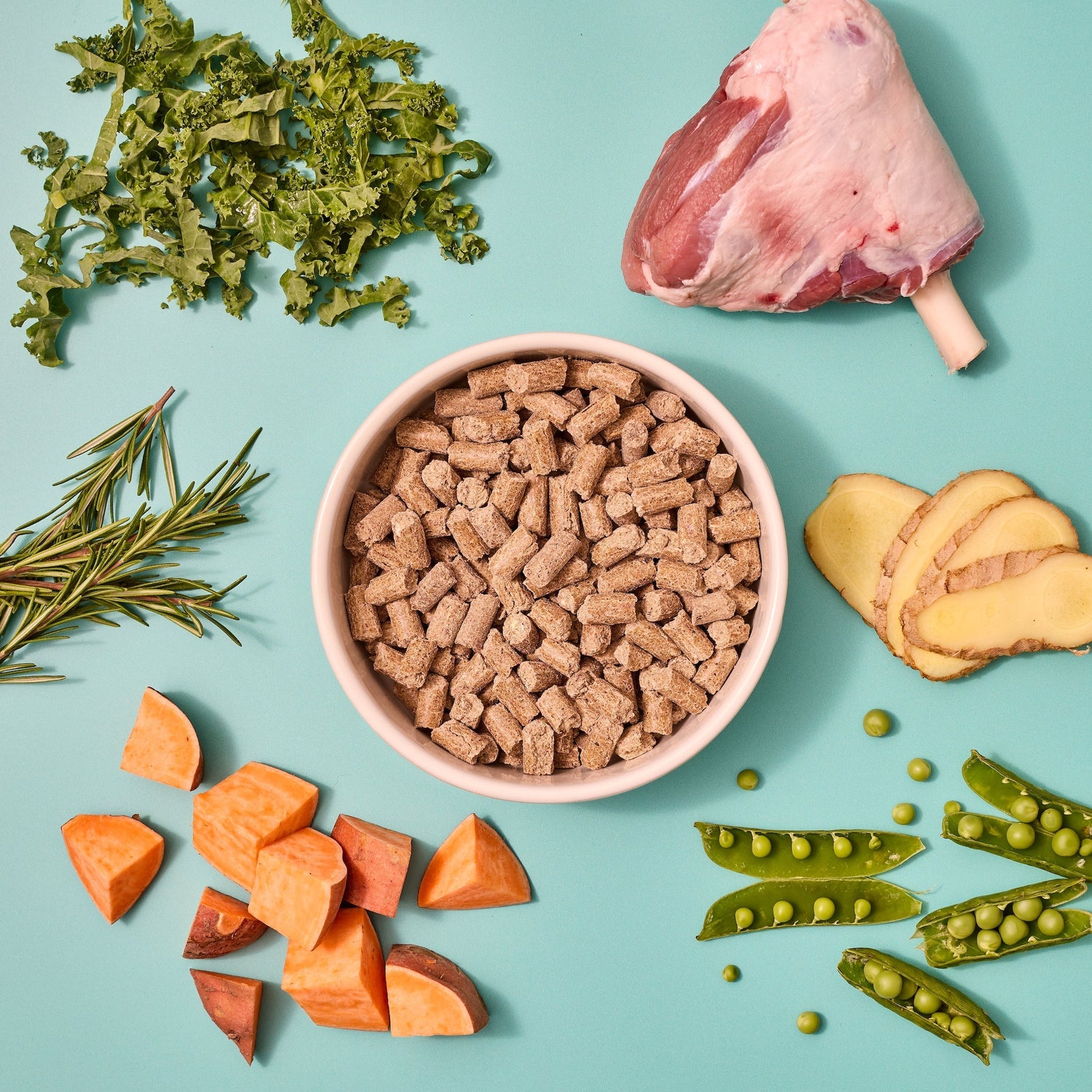 Feeding cold pressed dog food – Wilsons Pet Food