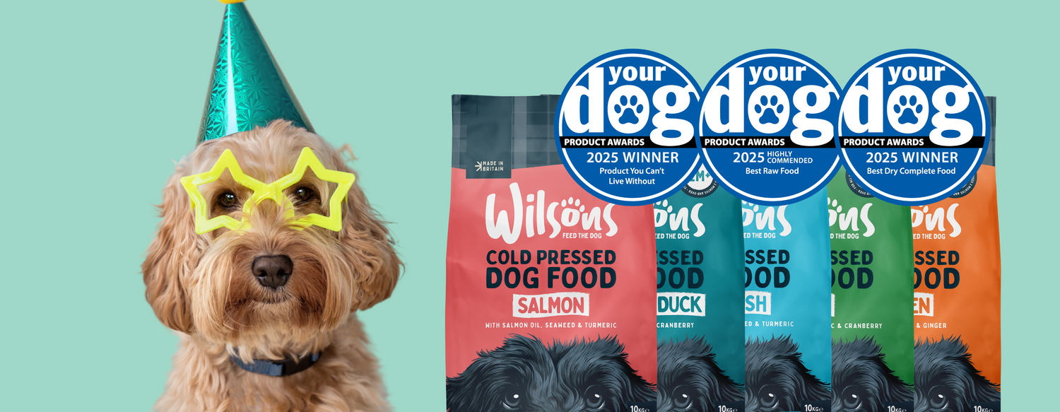 Wilsons wins two awards in Your Dog Magazine's Product Awards 2025 ...