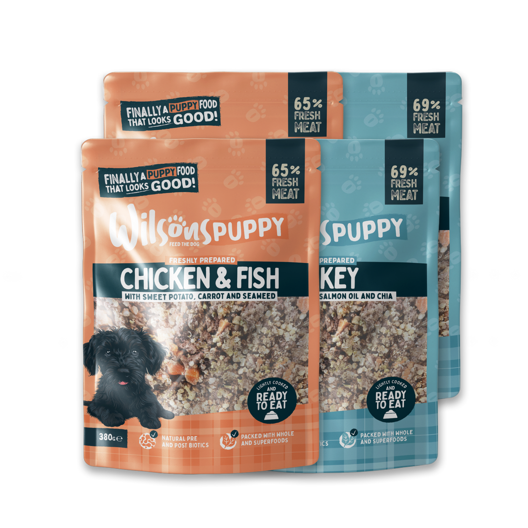 Fresh Dog Food | Nutritious Wet Dog Meals – Wilsons Pet Food