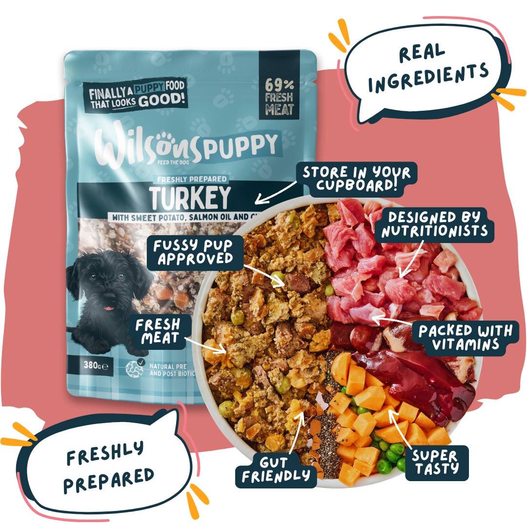 Wilsons Fresh Dog Food Sample Box | Try It, They'll Love It – Wilsons ...