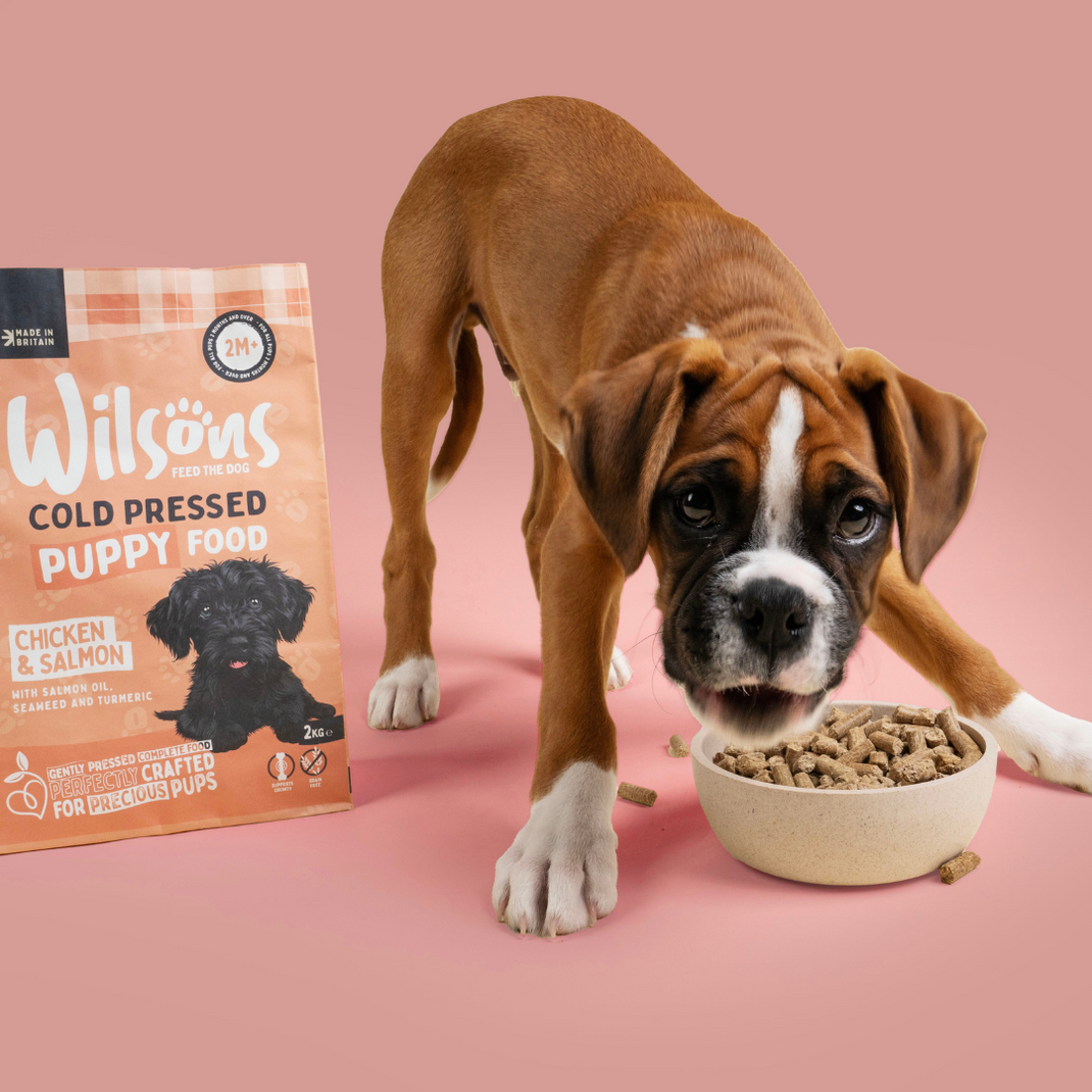 Puppy Food | Cold Pressed & Raw Frozen | Wilsons Pet Food