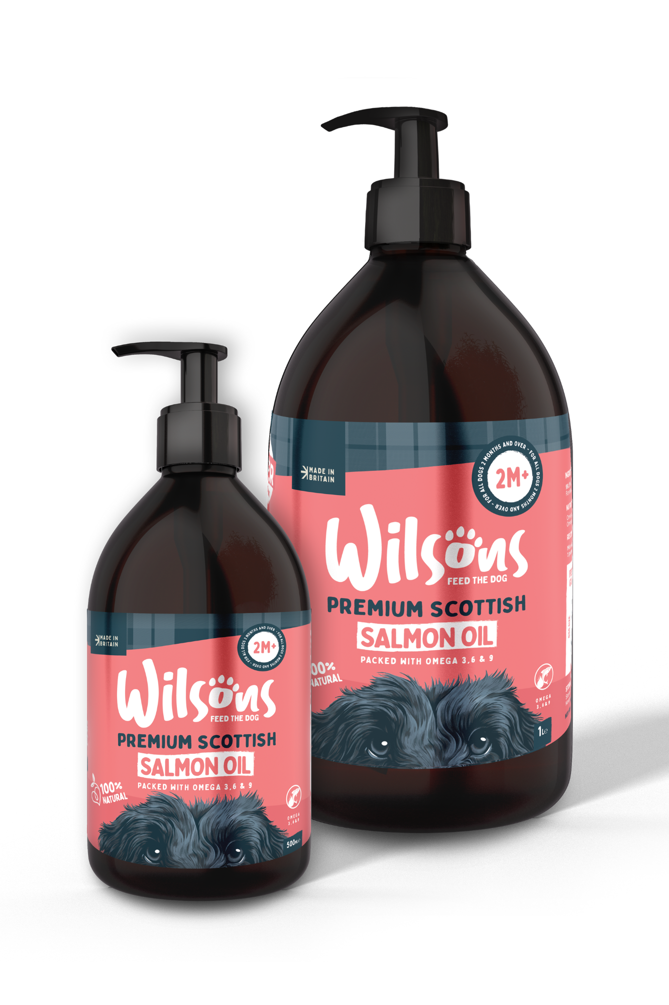 Wilsons Salmon Oil For Dogs | Top To Tail Benefits – Wilsons Pet Food