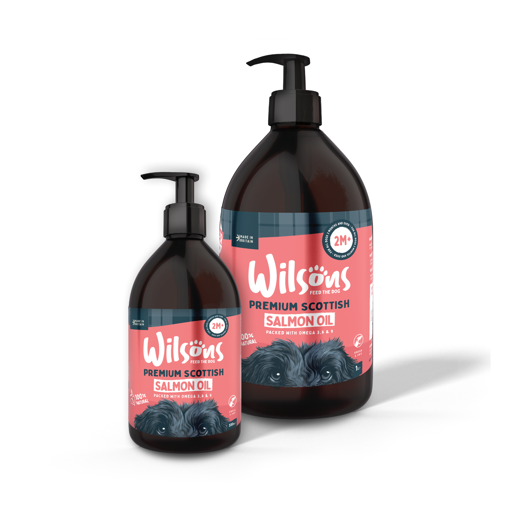 Wilsons Salmon Oil For Dogs | Top To Tail Benefits – Wilsons Pet Food