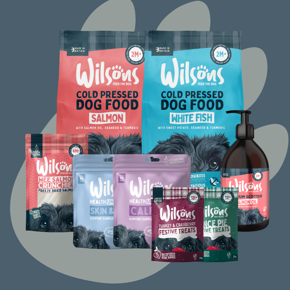 Wilsons and WildWash Prize Draw – Wilsons Pet Food