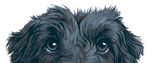 About Wilsons Pet Food | Premium Dog Food Made in the UK